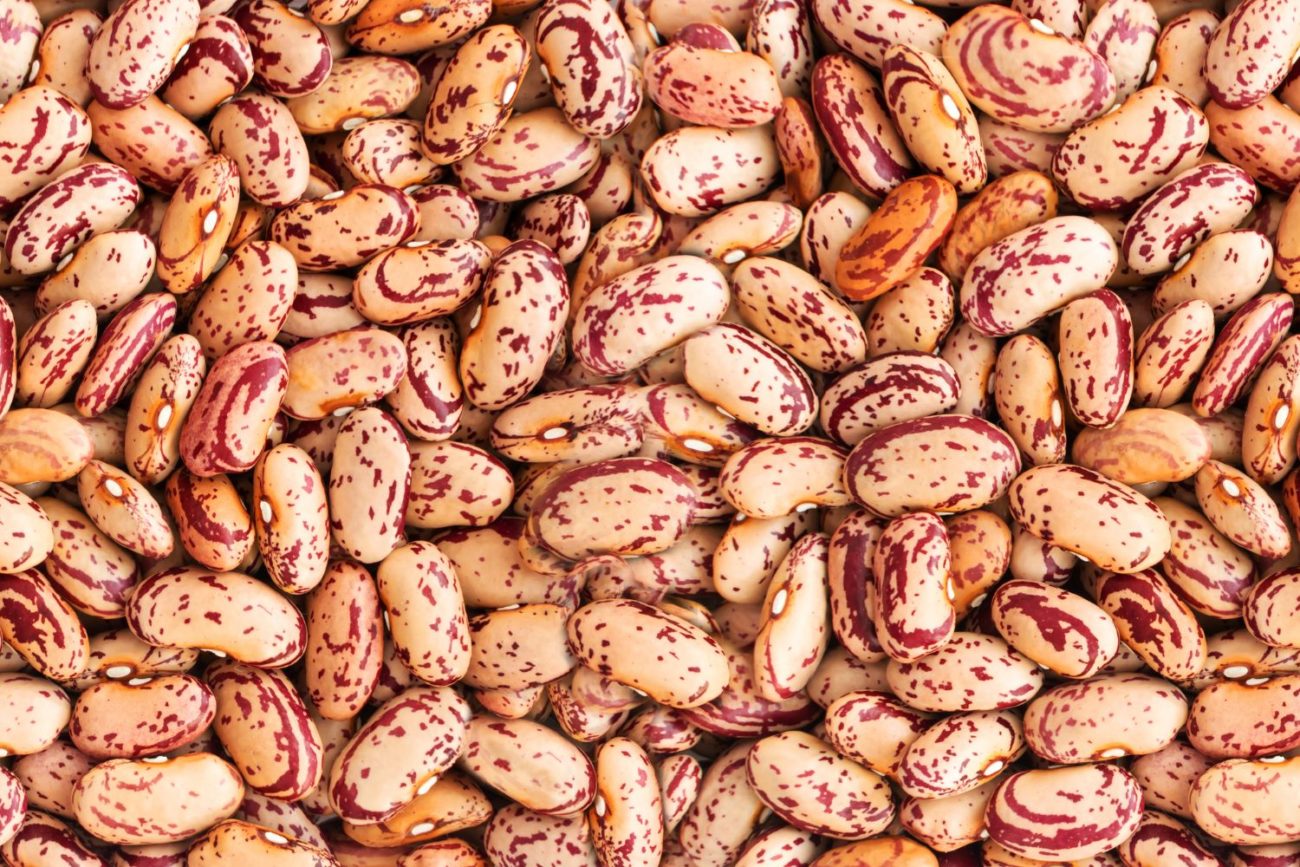 Haricots secs - Guide des Aliments de A à Z - France Minéraux