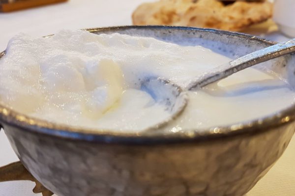 Lait de ribot - Guide des Aliments de A à Z - France Minéraux