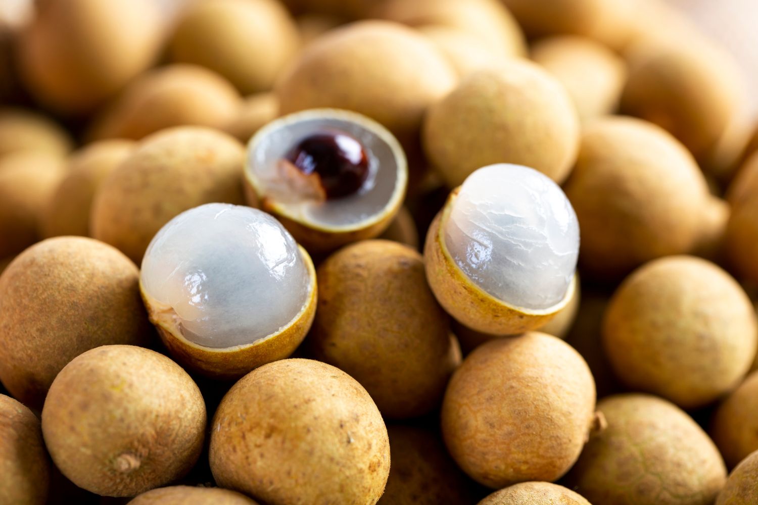 Longane - Guide des Aliments de A à Z - France Minéraux