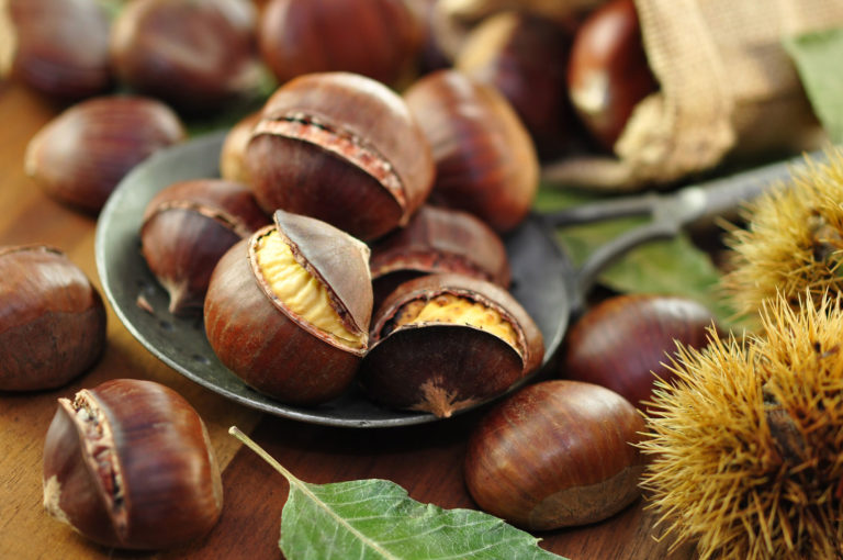 Marron - Guide des Aliments de A à Z - France Minéraux