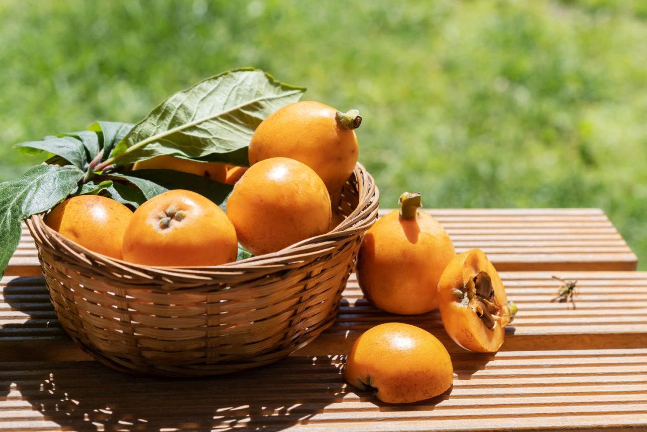 Nèfle - Guide des Aliments de A à Z - France Minéraux