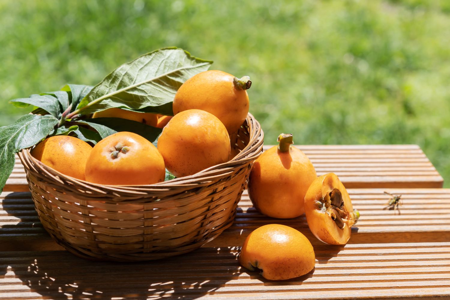 Nèfle - Guide des Aliments de A à Z - France Minéraux