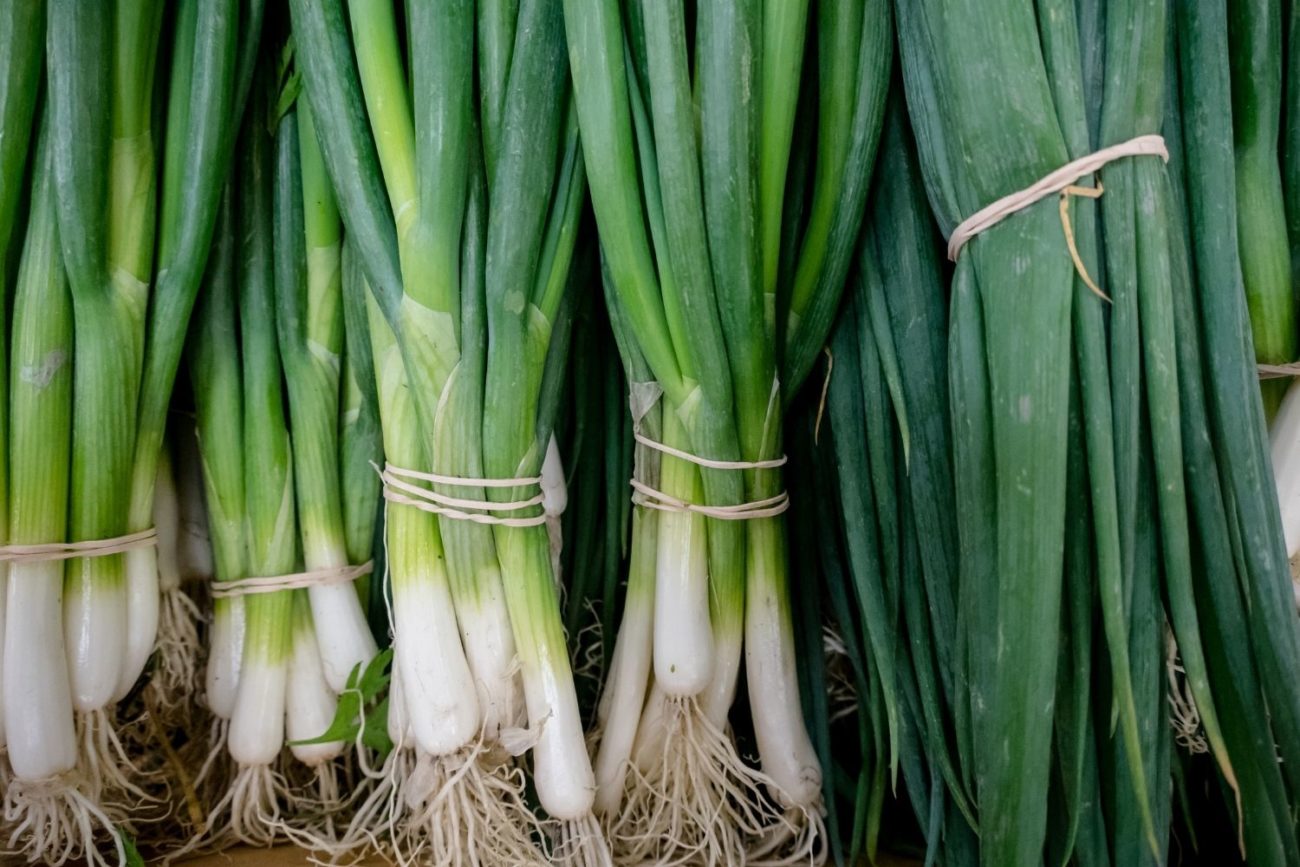 L'oignon vert - Guide des Aliments de A à Z - France Minéraux