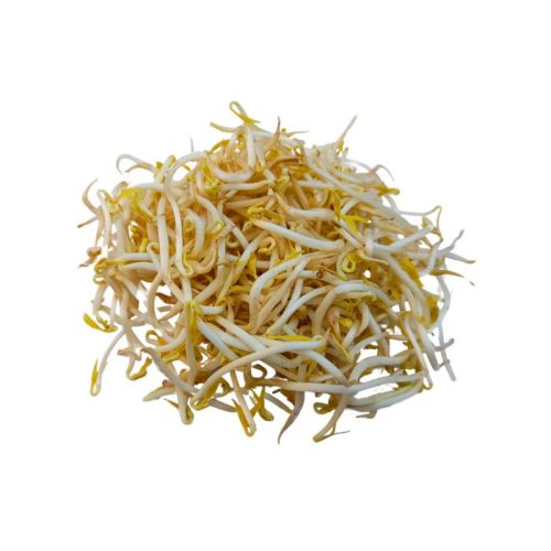 Pousse de soja - Guide des Aliments de A à Z - France Minéraux