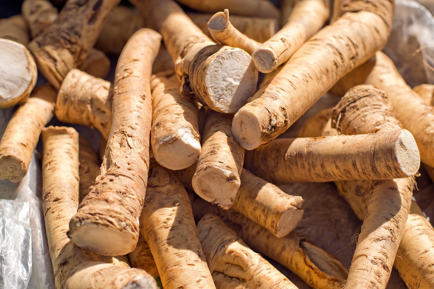 Raifort - Guide des Aliments de A à Z - France Minéraux