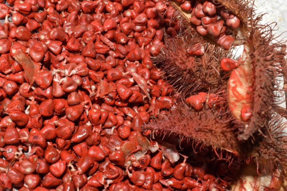 Roucou - Guide des Aliments de A à Z - France Minéraux