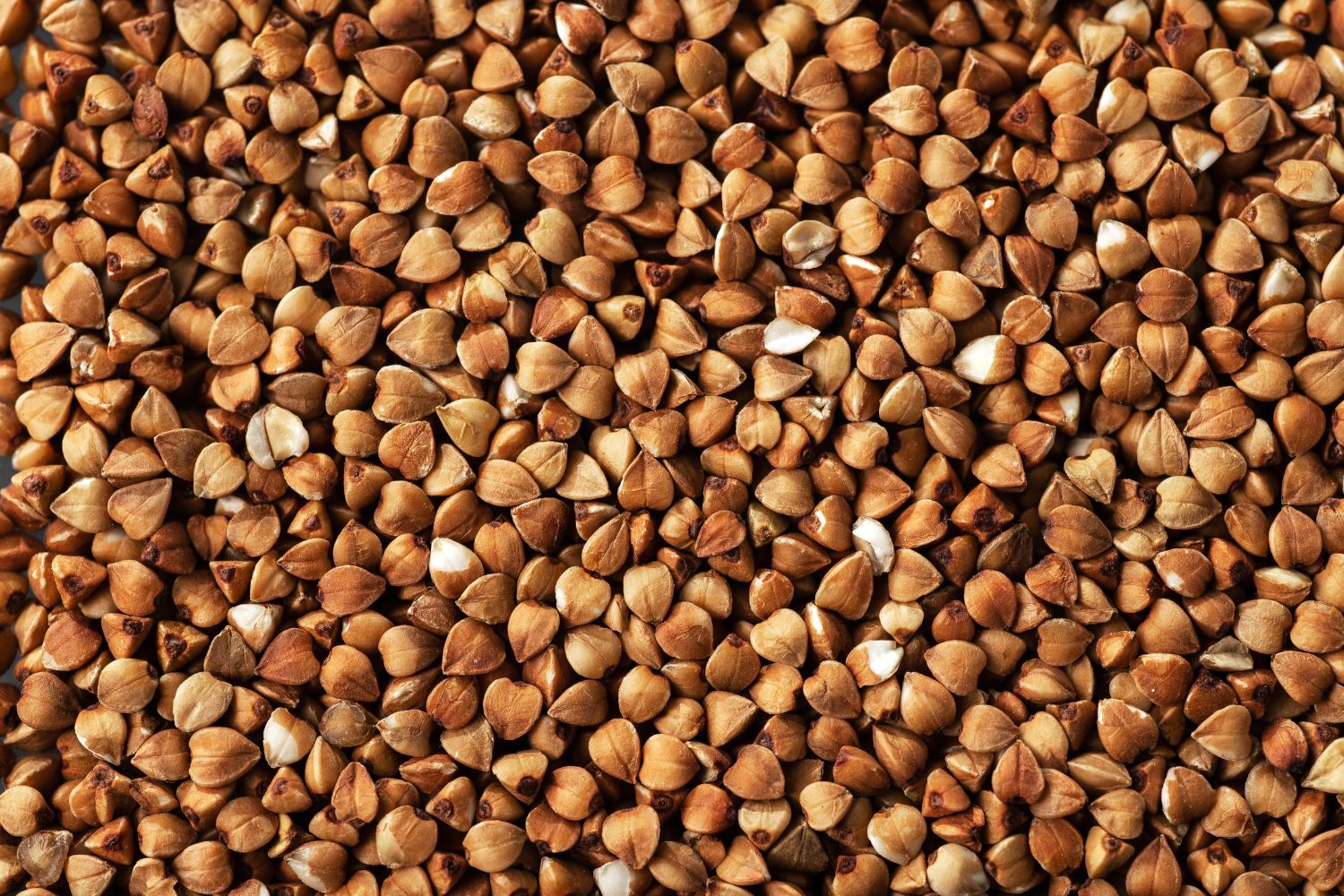 Sarrasin - Guide des Aliments de A à Z - France Minéraux