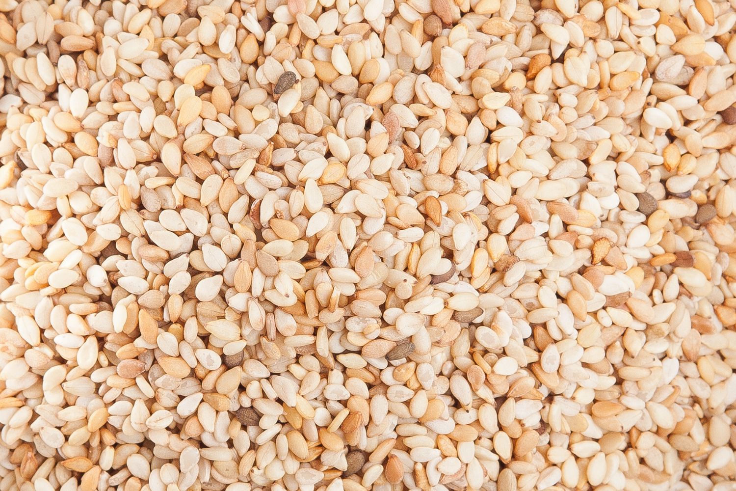 Sésame - Guide des Aliments de A à Z - France Minéraux