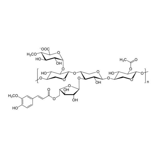 Xylane - Guide des Nutriments de A à Z - France Minéraux