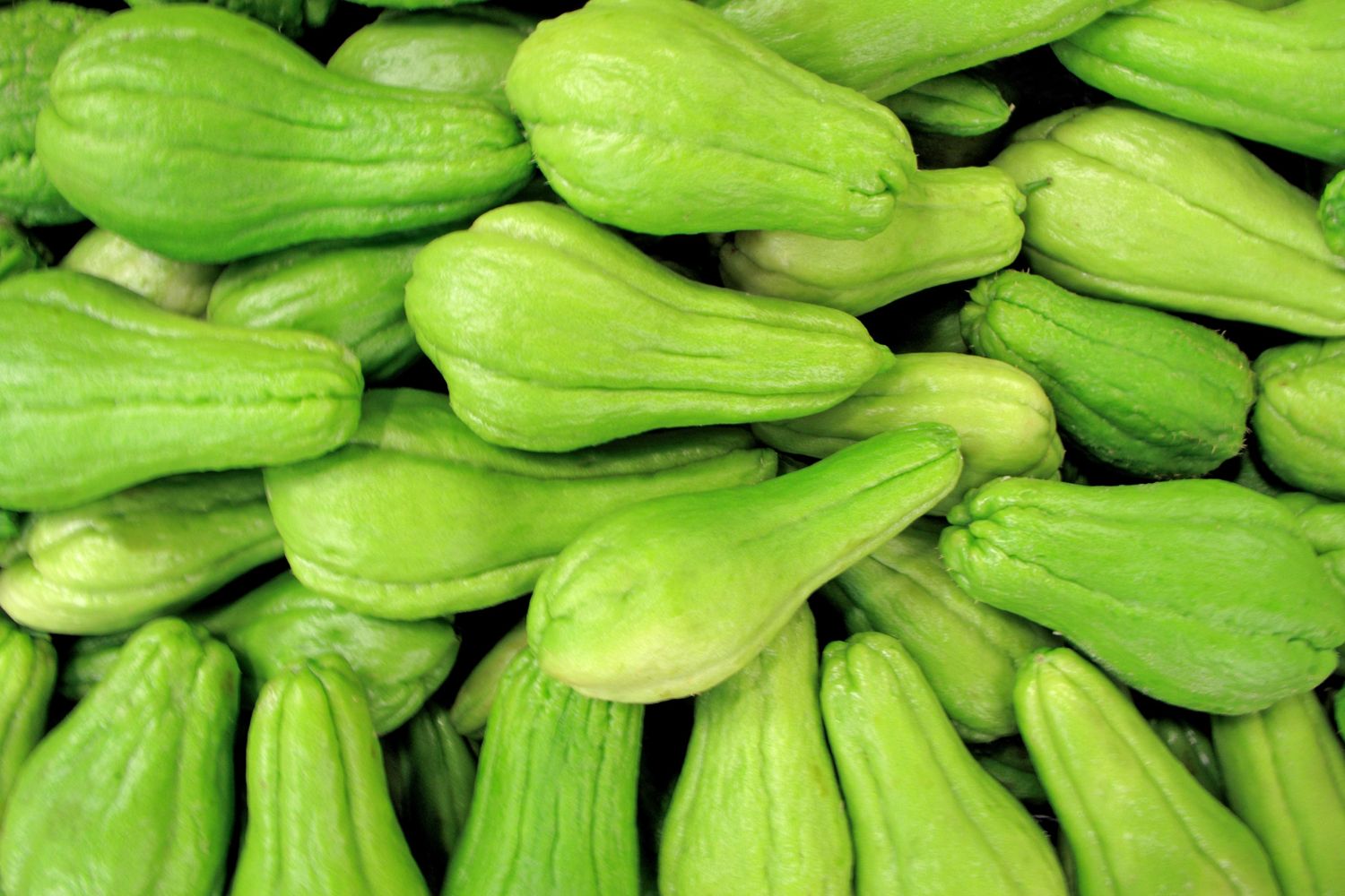 Chayotte - Guide des Aliments de A à Z - France Minéraux