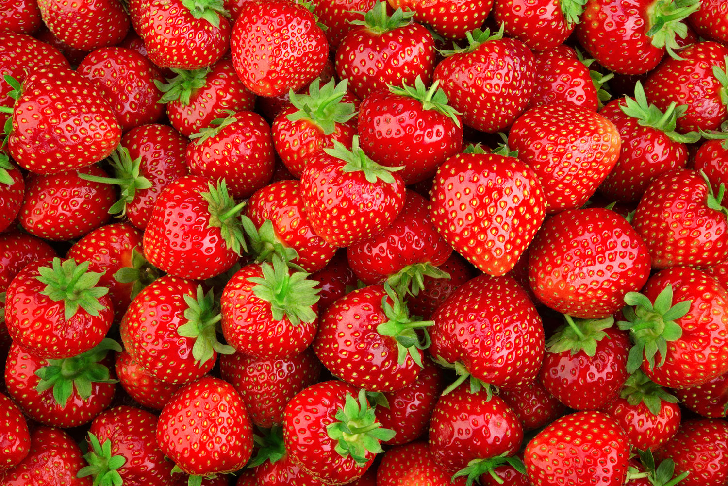 Fraise - Guide des Aliments de A à Z - France Minéraux