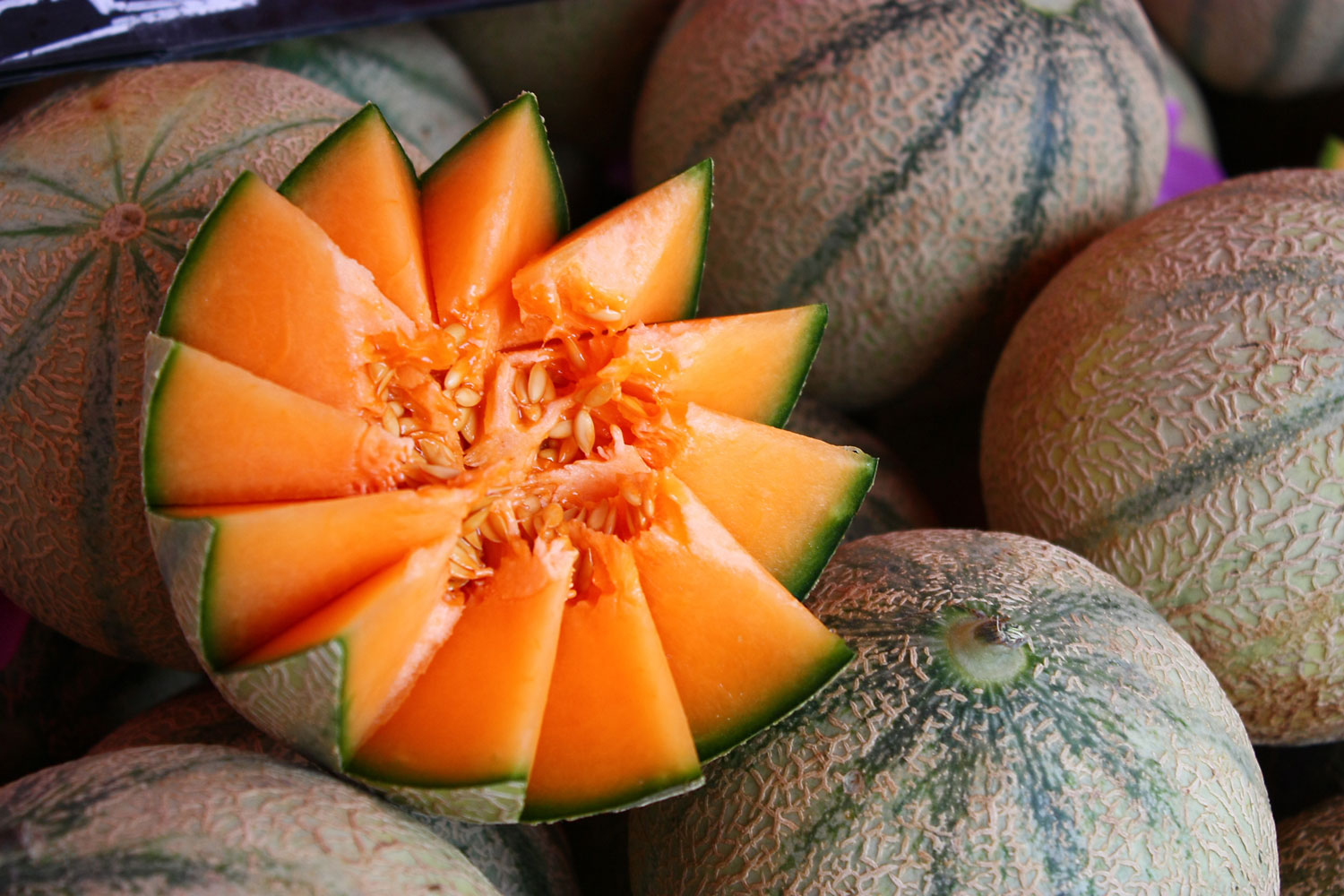 Melon - Guide des Aliments de A à Z - France Minéraux