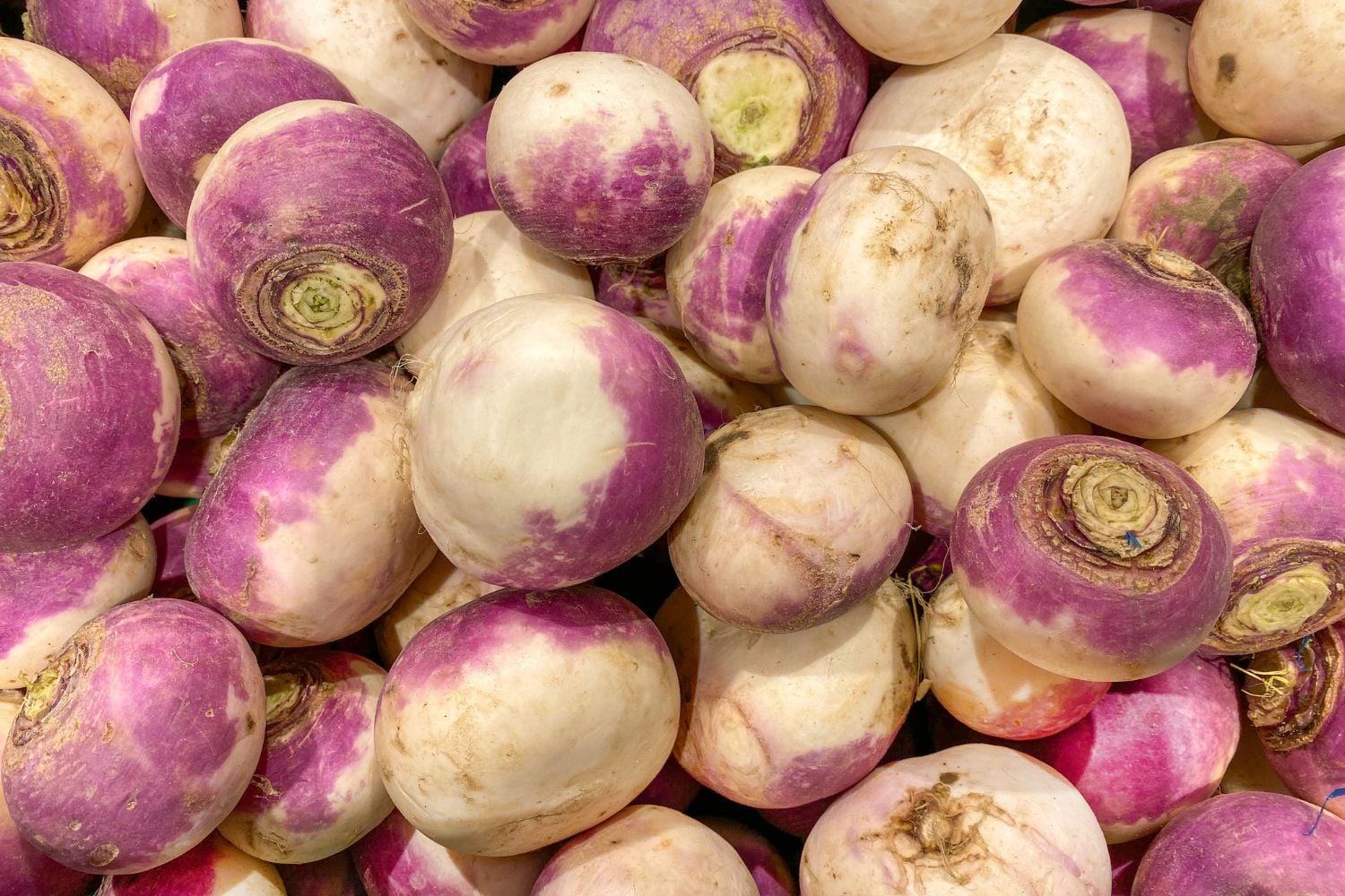 Navet - Guide des Aliments de A à Z - France Minéraux