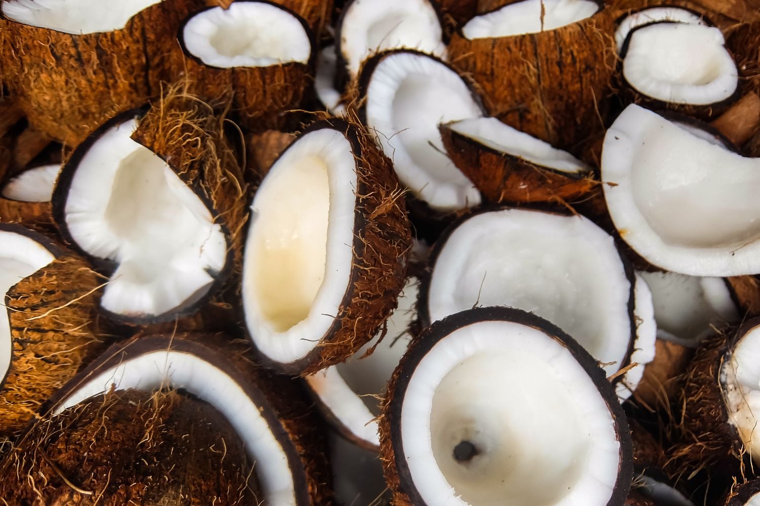 Noix de coco - Guide des Aliments de A à Z - France Minéraux