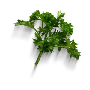 Persil - Guide des Aliments de A à Z - France Minéraux