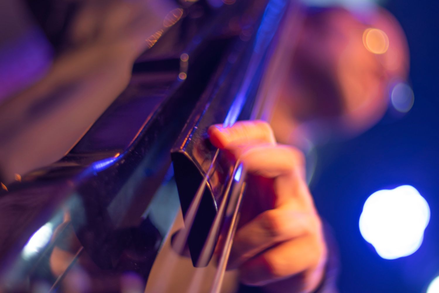 Contrebasse électrique - Guide des Instruments de Musique de A à Z ...