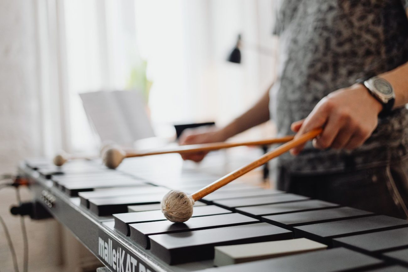 Xylophone - Guide des Instruments de Musique de A à Z - Musicothérapie - France Minéraux