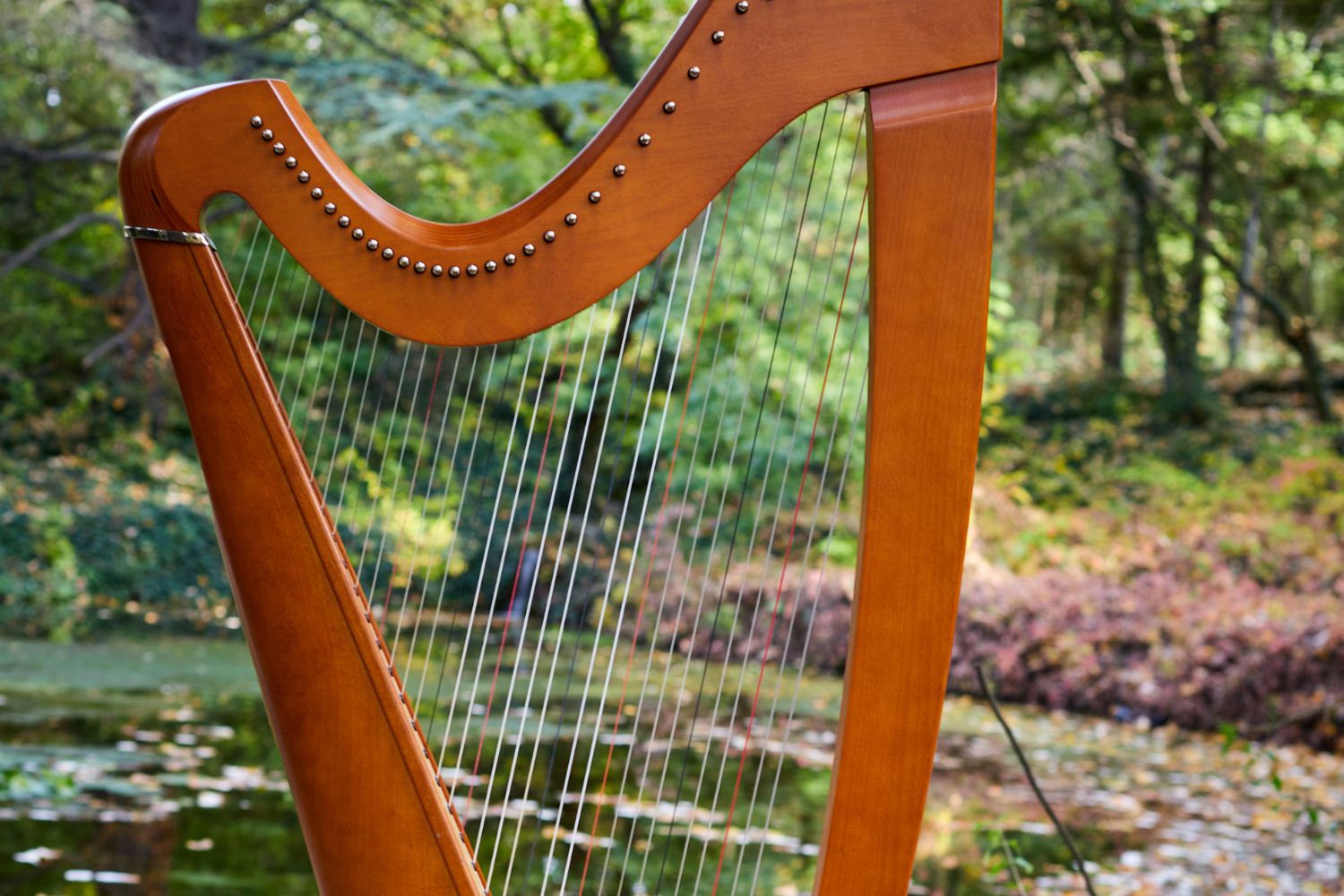 Harpe celtique - Guide des Instruments de Musique de A à Z ...