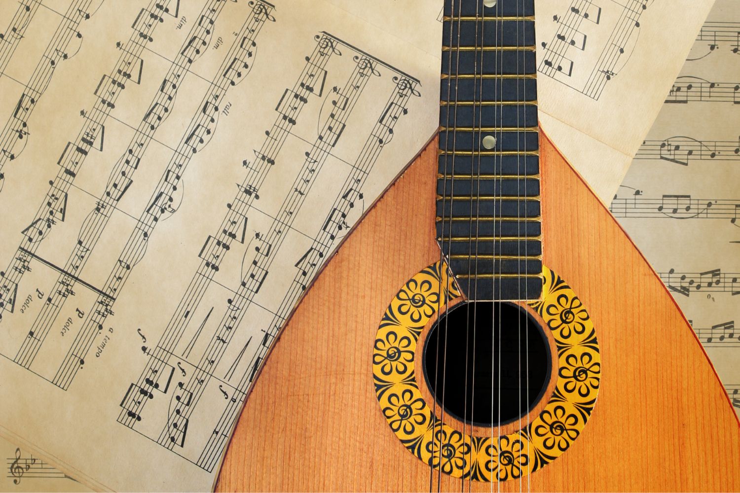 Mandoline électrique - Guide des Instruments de Musique de A à Z ...