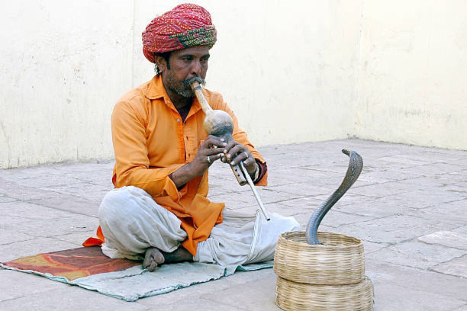 Pungi - Guide des Instruments de Musique de A à Z - Musicothérapie ...